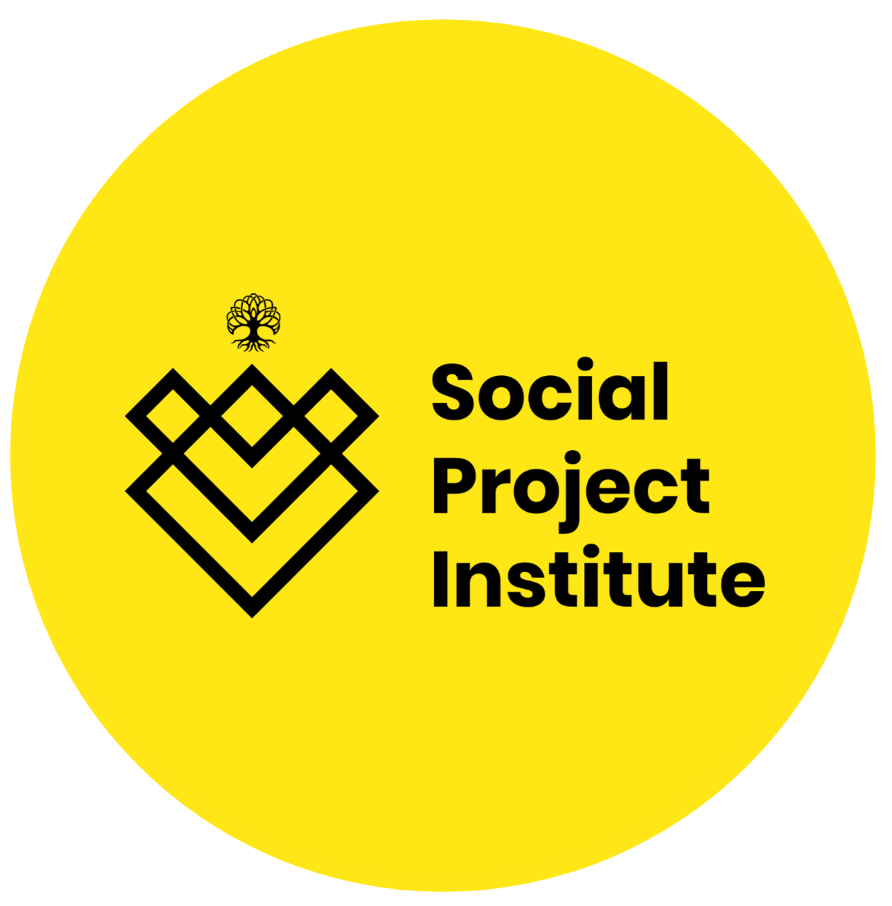 SPI Master - Social Project Institute